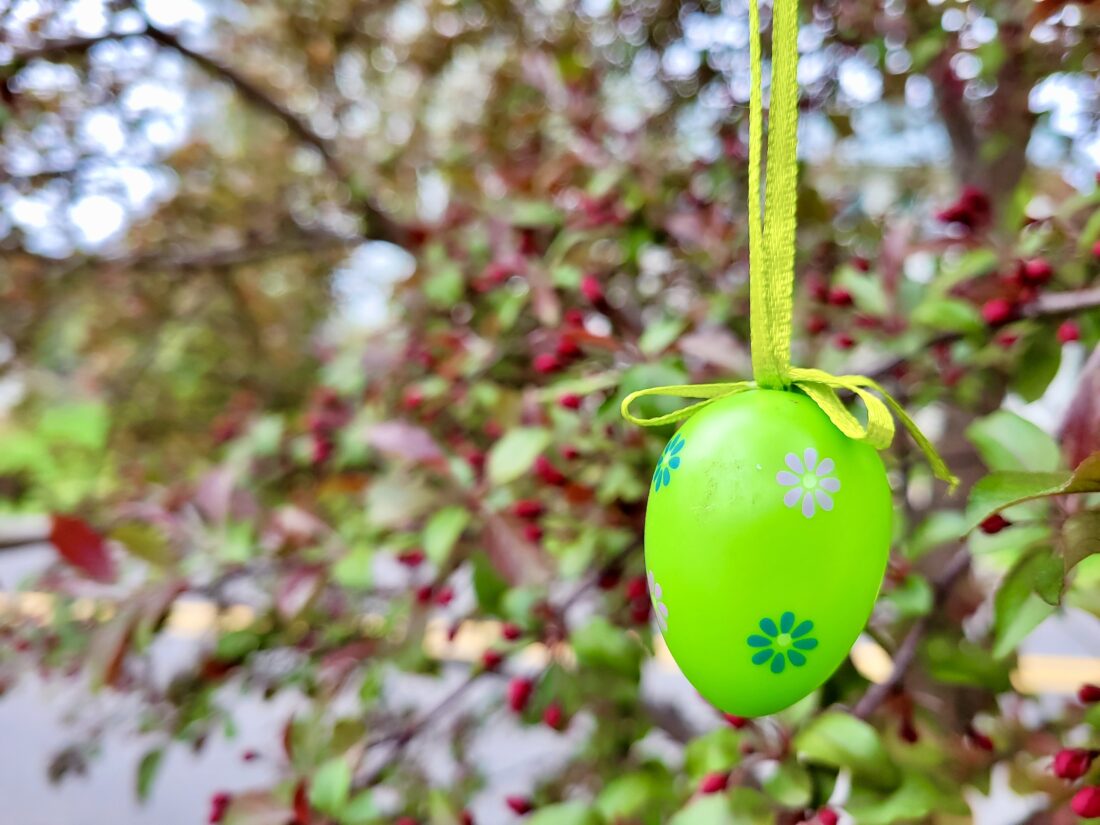Easter egg-citement | News, Sports, Jobs - Shepherdstown Chronicle